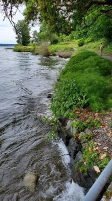 MADRONA PARK - Updated May 2025 - 82 Photos & 33 Reviews - 853 Lake ...