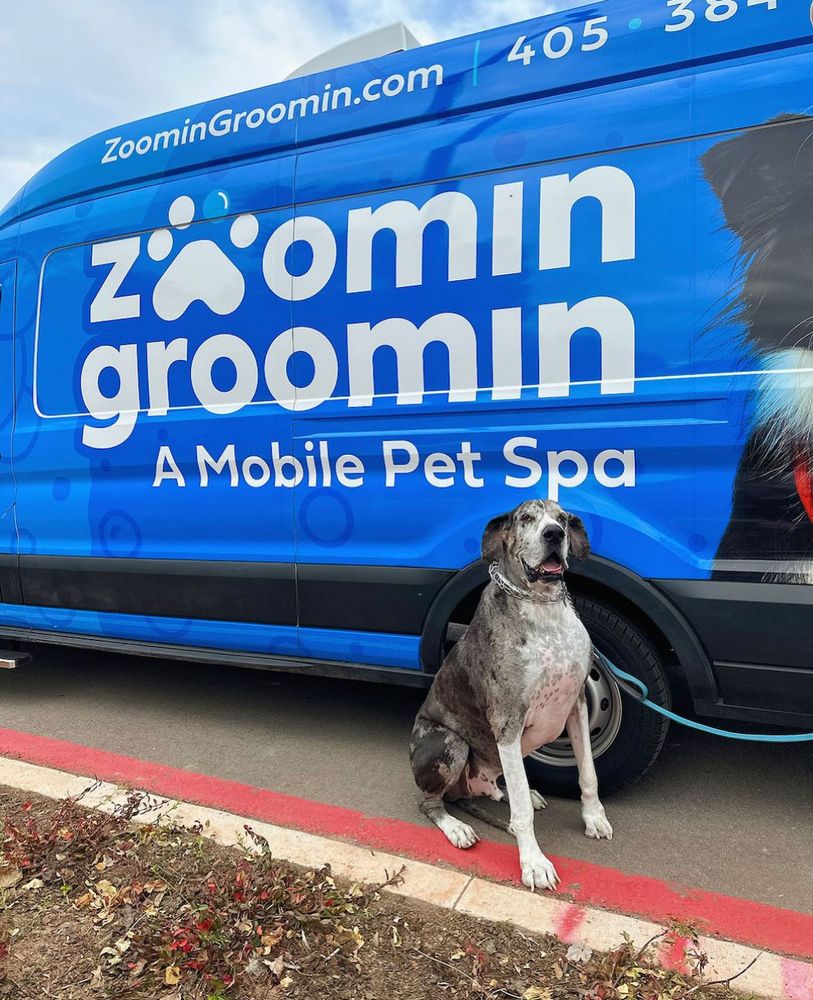 ZOOMIN GROOMIN - Updated December 2025 - Edmond, Oklahoma - Pet ...
