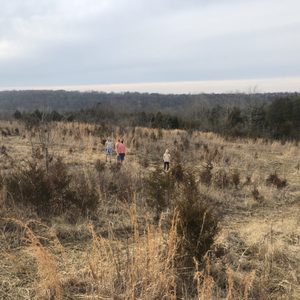 ROMANO MAZZOLI FEDERAL BUILDING - Updated February 2025 - 600 Dr Martin ...