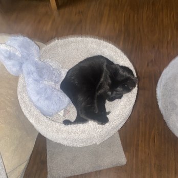 PETSMART - Updated October 2025 - 59 Photos & 135 Reviews - 575 Rohnert ...