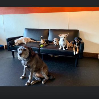 THE SCOOBY SHACK - Updated August 2024 - 33 Reviews - 17620 SW 63rd Ave ...