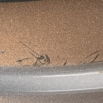 WILDE SUBARU - Updated January 2026 - 44 Photos & 96 Reviews - 1560 E ...