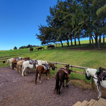 NA’ALAPA STABLES - Updated January 2026 - 208 Photos & 117 Reviews - 59 ...