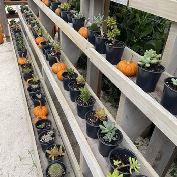 TINEZ FARMS - Updated January 2025 - 336 Photos & 58 Reviews - 16405 SW ...