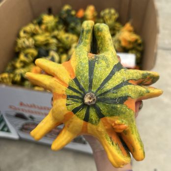 WEBER’S FARM - Updated October 2025 - 302 Photos - 167 Reviews - 2526 ...