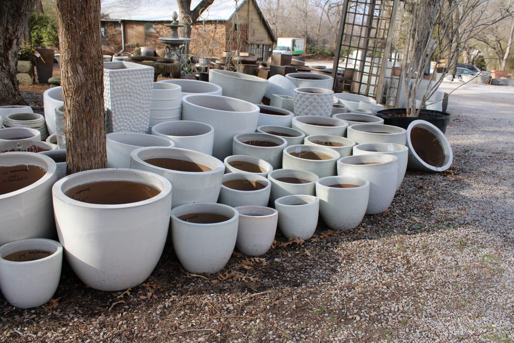 CALVERT’S PLANT INTERIORS - Updated October 2025 - 77 Photos & 23 ...