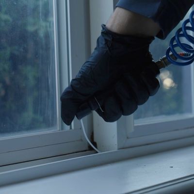 BULWARK EXTERMINATING - Updated August 2025 - 39 Photos & 10 Reviews ...