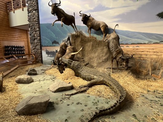 BASS PRO SHOPS - Updated December 2025 - 75 Photos & 66 Reviews - 10300 ...