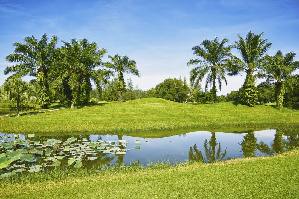 DIVERSIFIED WATERSCAPES - Updated September 2025 - 36 Photos & 26 ...