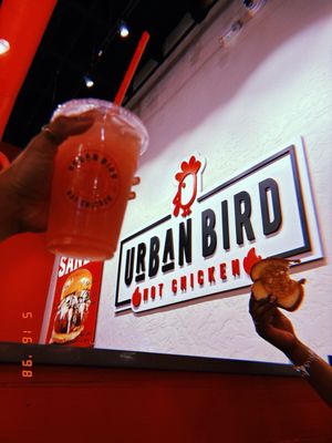 URBAN BIRD HOT CHICKEN - Updated May 2026 - 80 Photos & 61 Reviews ...