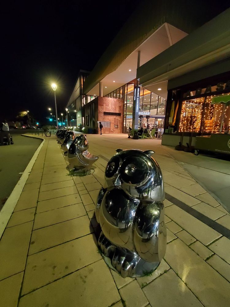 WHIMSY AND WISE - Updated December 2024 - 3700 Middlefield Rd, Palo ...