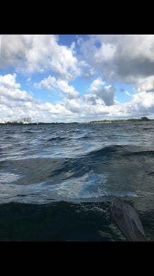 BIG SANDSPUR A/K/A BEER CAN ISLAND - Updated October 2024 - 23 Photos ...