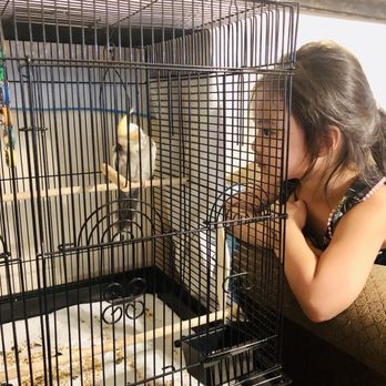 Magnolia Bird Farm - 121 Photos & 149 Reviews - Pet Stores - 8990 ...