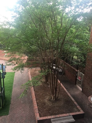 SPARTANBURG COUNTY PUBLIC LIBRARY - Updated January 2026 - 28 Photos ...