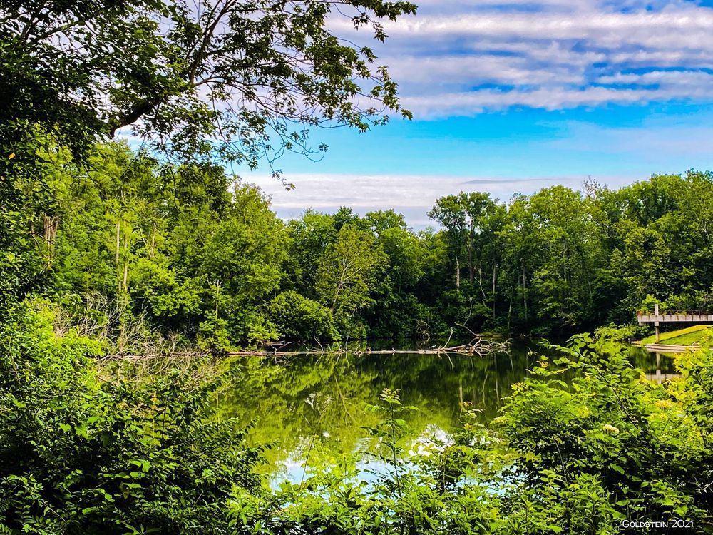 MILL RACE PARK - Updated April 2025 - 60 Photos & 18 Reviews - 22ND St ...