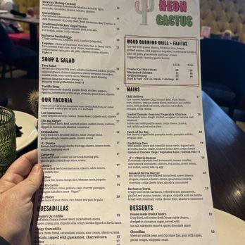 NEON CACTUS - Updated February 2025 - 205 Photos & 185 Reviews - 241 E ...