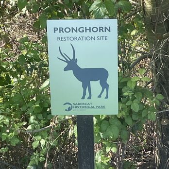 SABERCAT CREEK TRAIL - Updated October 2025 - 287 Photos & 24 Reviews ...