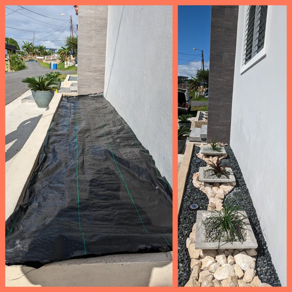 LIMPIEZA DE PATIOS ALEX COSME - Updated January 2026 - 70 Photos - San ...