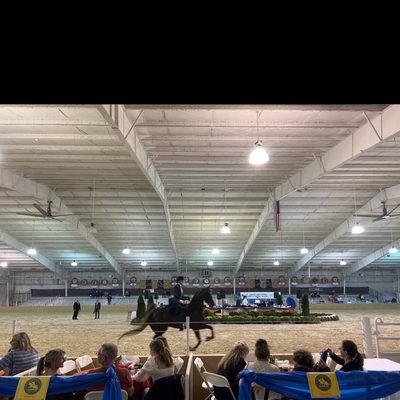 NATIONAL EQUESTRIAN CENTER - Updated December 2025 - 18 Photos - 6880 ...