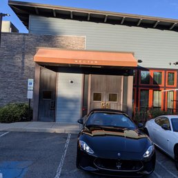 NECTAR - Updated October 2025 - 617 Photos & 557 Reviews - 1091 ...