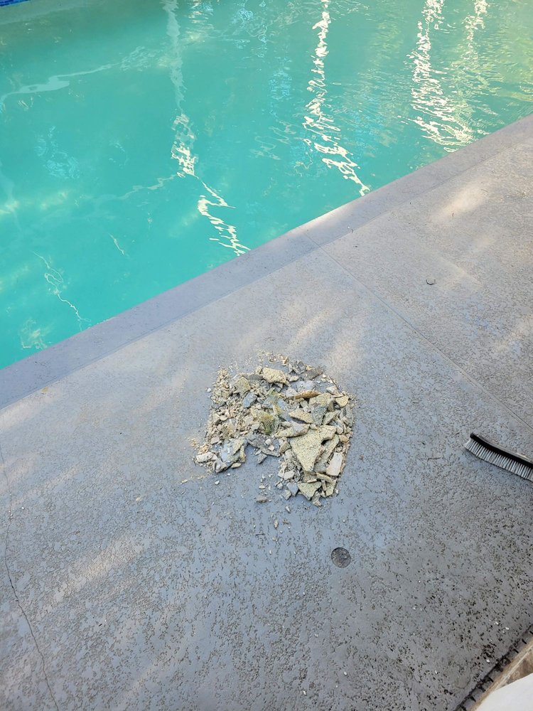 AMAZON POOLS - Updated January 2026 - 11 Photos & 18 Reviews - Sarasota ...