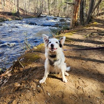 BUSHKILL FALLS - Updated October 2024 - 1396 Photos & 339 Reviews - 138 ...