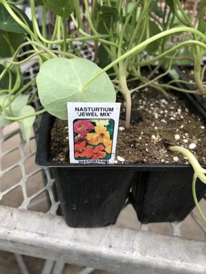 THE ROOT SELLER - Updated July 2024 - 16735 Zaychuk Road, Edmonton ...