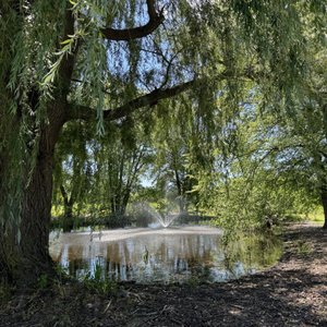 CENTER GROVE ORCHARD - Updated July 2025 - 101 Photos & 40 Reviews ...