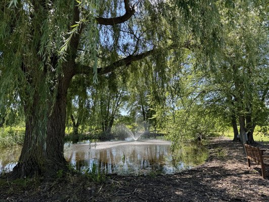 IOWA ARBORETUM & GARDENS - Updated October 2025 - 55 Photos - 1875 ...
