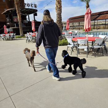 TOPOCK 66 - Updated July 2024 - 483 Photos & 341 Reviews - 14999 ...