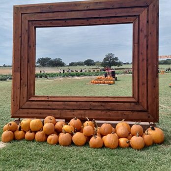 ROCKBERRY RANCH - Updated September 2025 - 159 Photos & 22 Reviews ...