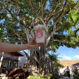 AMAZONICA - Updated November 2025 - 193 Photos & 126 Reviews - 5030 NE ...