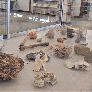 SACRAMENTO PUBLIC LIBRARY - ORANGEVALE - Updated May 2024 - 17 Photos ...