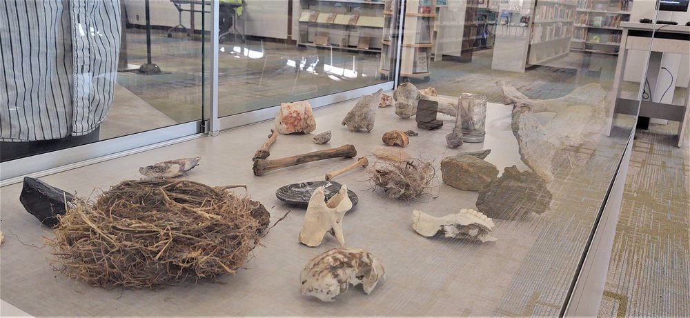 SACRAMENTO PUBLIC LIBRARY - ARCADE - Updated November 2024 - 24 Photos ...