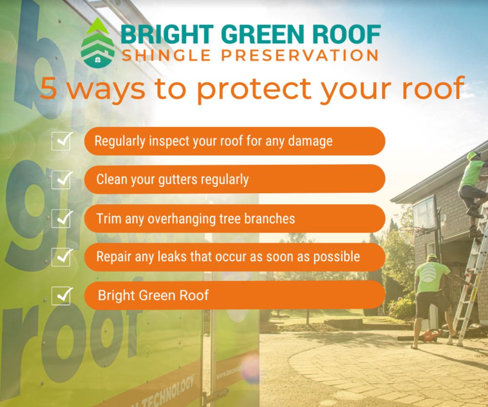 BRIGHT GREEN ROOF - Updated June 2024 - Request a Quote - Kingsport ...