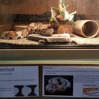 ELLANOR C LAWRENCE PARK - WALNEY VISITORS CENTER - Updated December ...