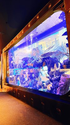 CERRITOS LIBRARY - Updated December 2025 - 1639 Photos & 517 Reviews ...