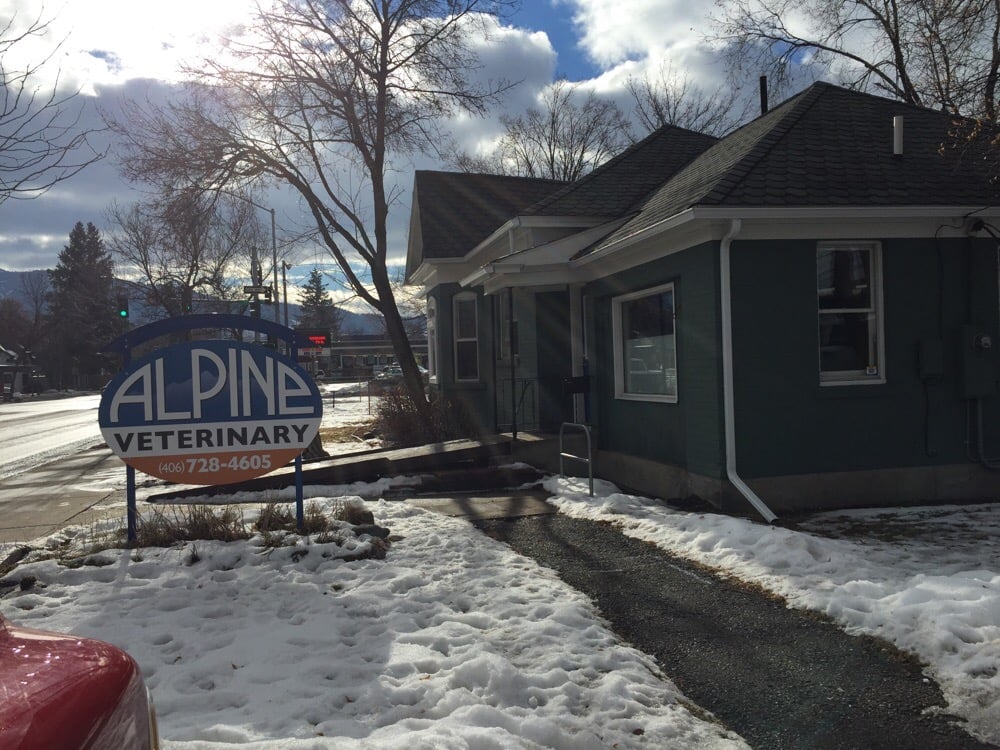 ALPINE VETERINARY CARE - Updated May 2026 - 20 Reviews - 500 S 5th St W ...