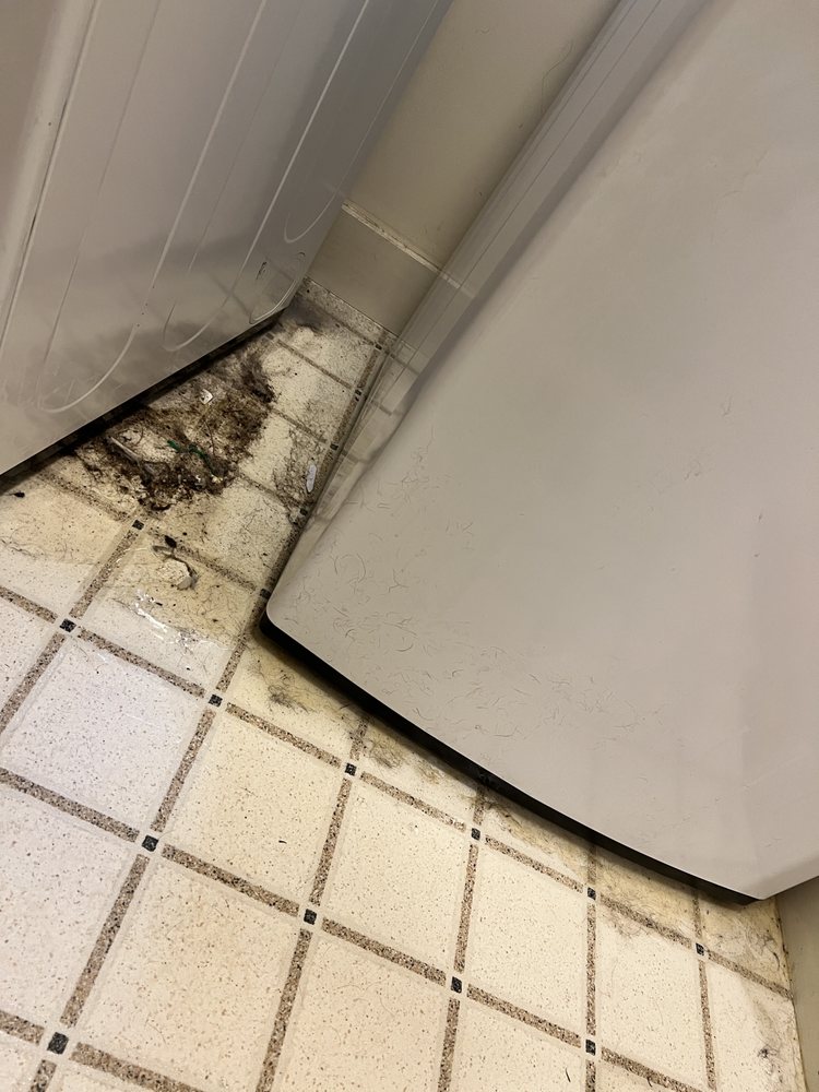 WAPD PROFESSIONAL DETAILING - Updated July 2025 - 11 Photos - Claremont ...