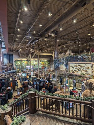 BASS PRO SHOPS - Updated May 2025 - 54 Photos & 22 Reviews - 100 Bass ...