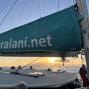 TERALANI SAILING - 521 Photos & 554 Reviews - Lahaina, HI - Yelp