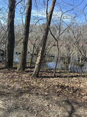 ECHO LAKE PARK - Updated December 2025 - 15 Photos - 5701 Springfield ...