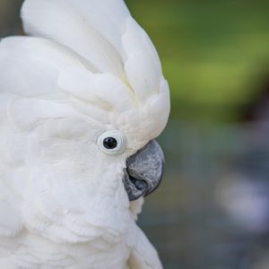 CHARLIE’S U-PIK - Updated December 2025 - 35 Photos - 257 Charlies Lane ...