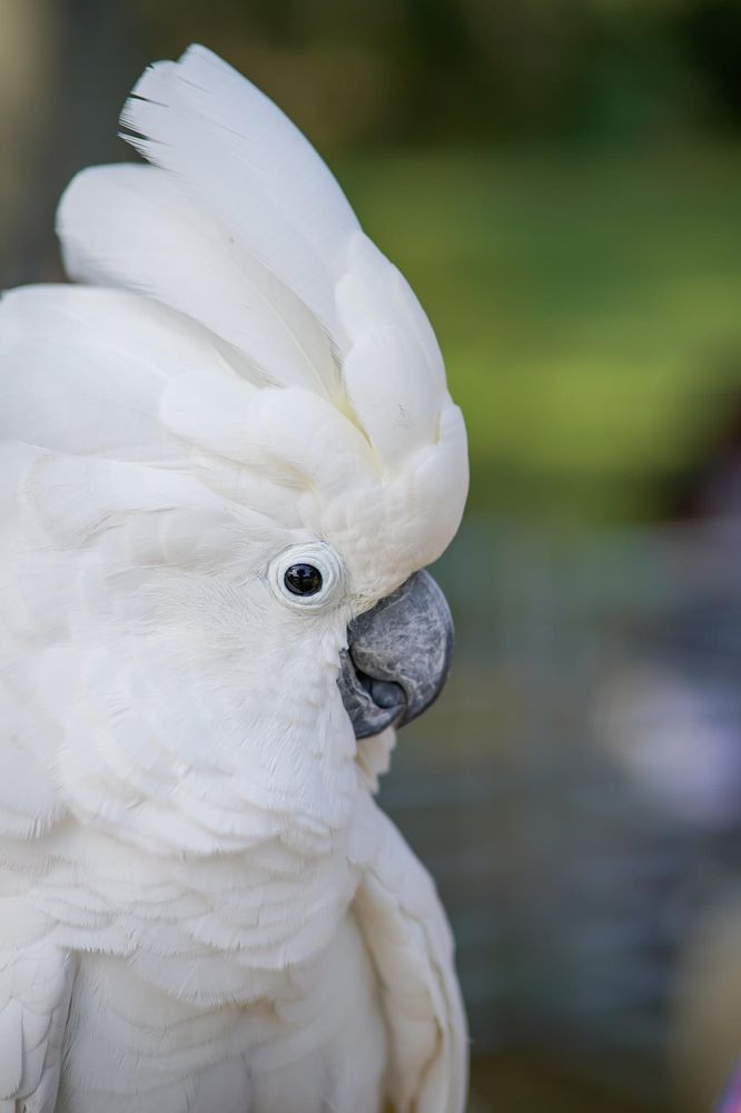 COASTAL FARMS AND EXOTICS - Updated October 2025 - 16 Photos ...