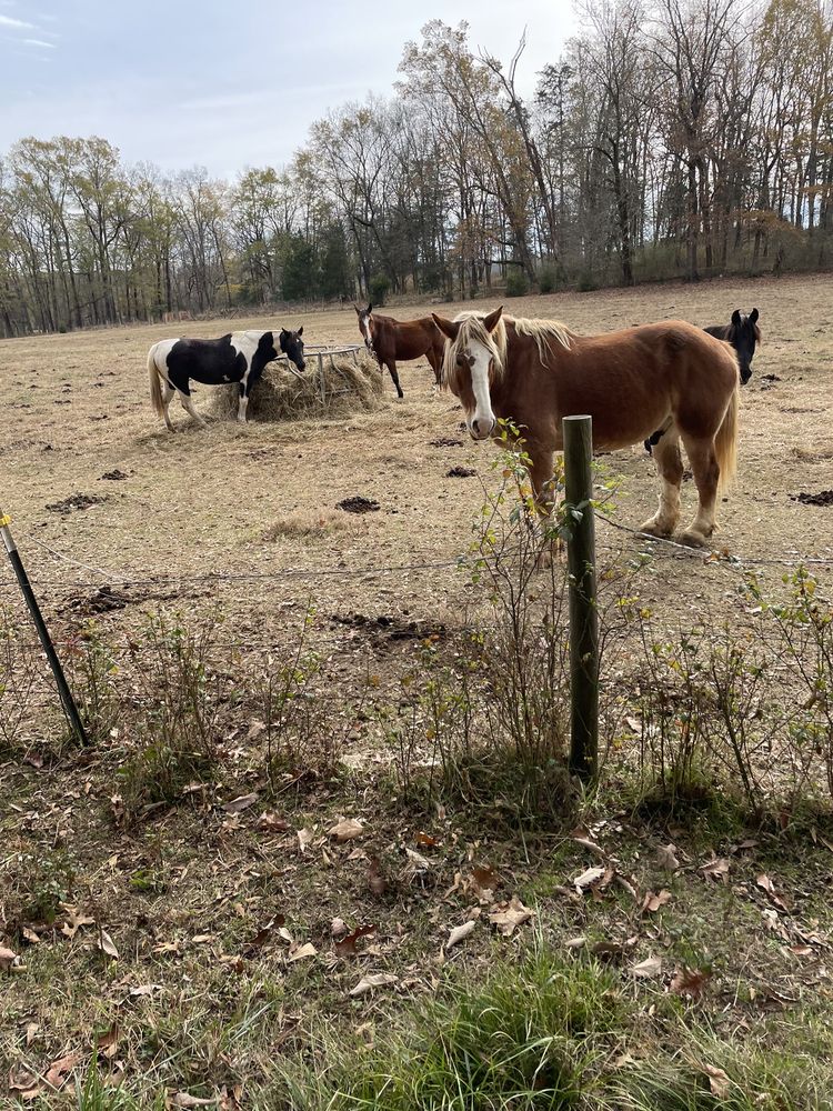 TRAILS END RANCH - Updated October 2025 - 224 Trails End Rd ...