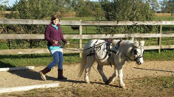 SUN FIRE STABLES - Updated October 2024 - 13 Photos - 33822 High Dr ...