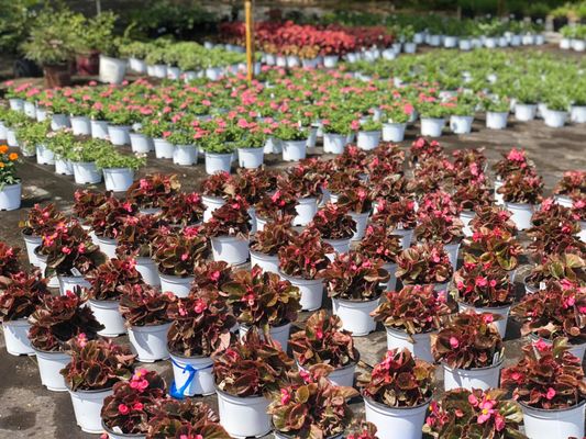 PENINSULA HARDWOOD MULCH - Updated December 2025 - 7800A Richmond Rd ...