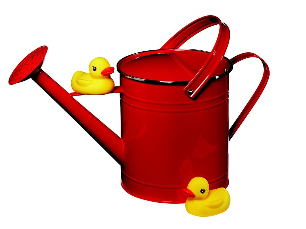 HOLBROOK PUBLIC LIBRARY - Updated October 2024 - 403 Park St, Holbrook ...