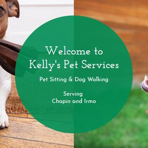 PET PARADISE - Updated August 2025 - 12 Photos - 951 Roberts Branch ...