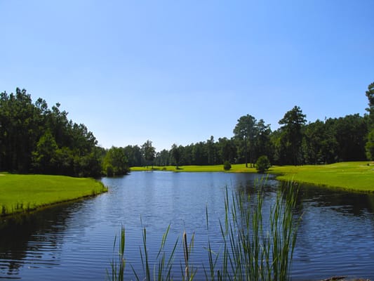 CROWN PARK GOLF CLUB - Updated August 2025 - 40 Photos - 2225 Hwy 9 W ...